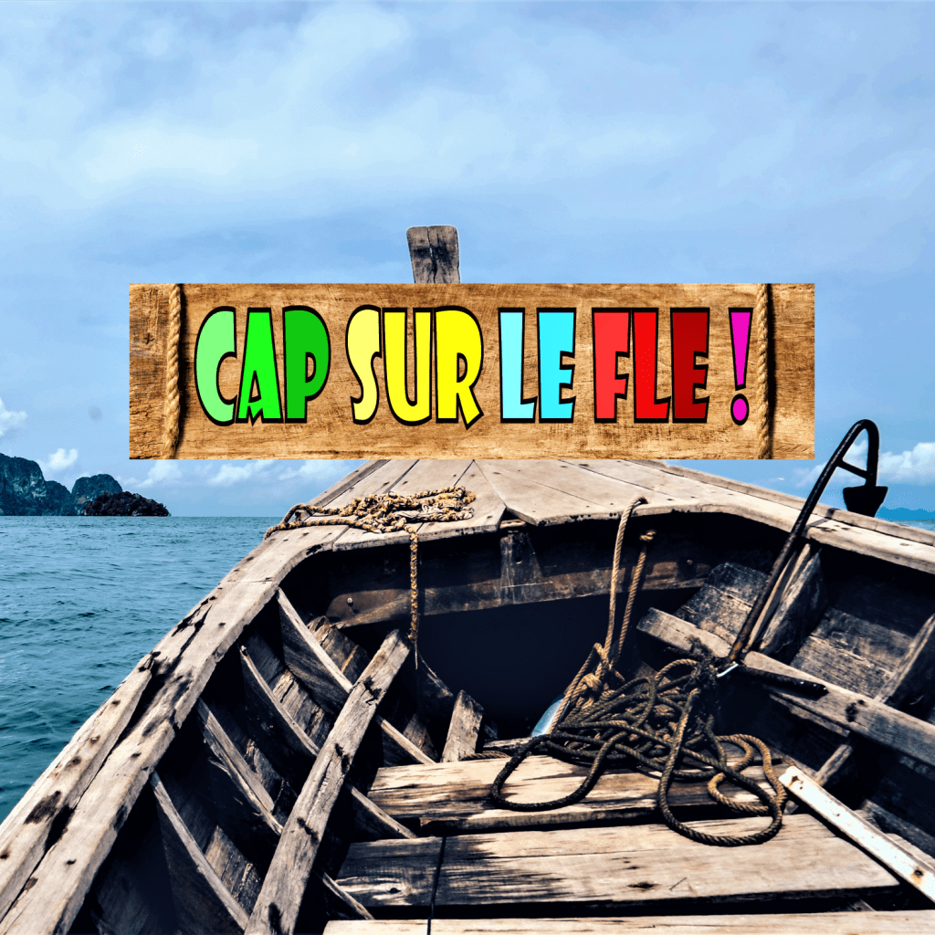 Cap sur le FLE ! – Pour apprendre et enseigner le Français Langue Etrangère